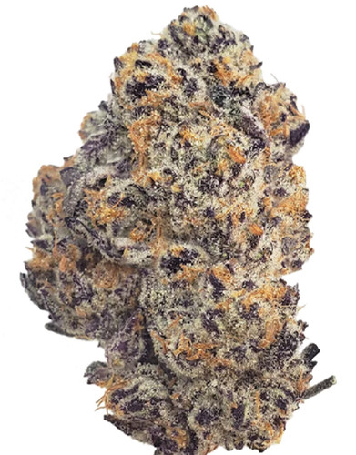 Astro Status #88 (Sativa) | Exotic Labz