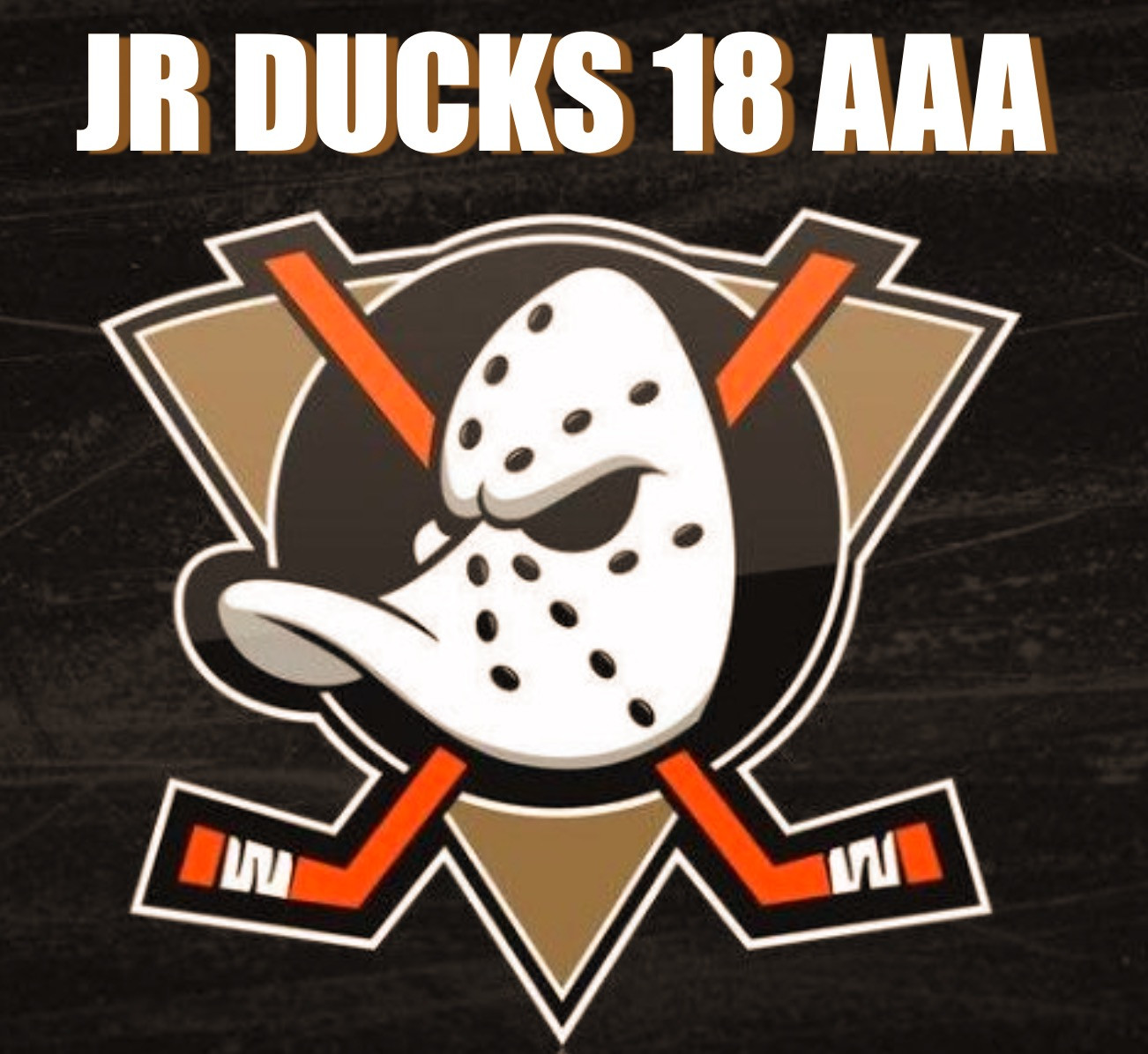 Home | Jr Ducks 18U AAA