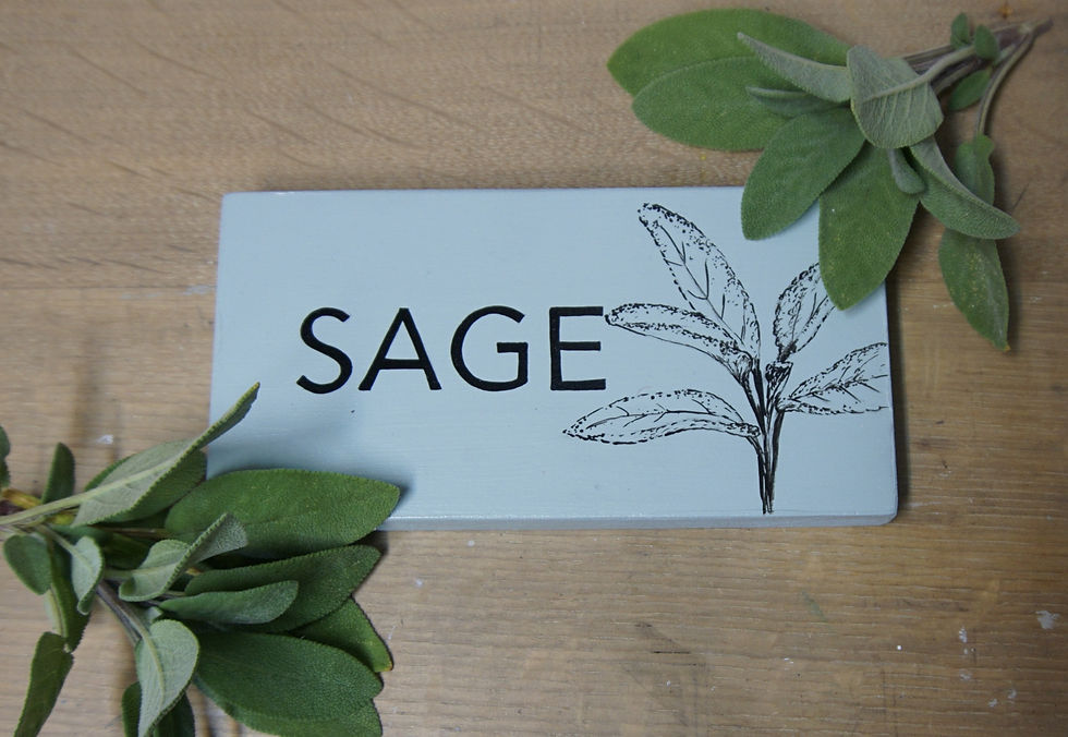 Gallery | Campbell & Cornell