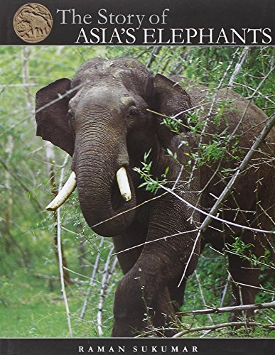 THE STORY OF ASIA'S ELEPHANTS | Great Books India