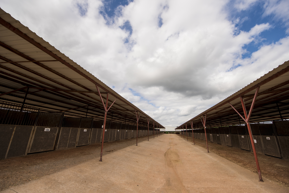 Facilities | Lazy E Arena