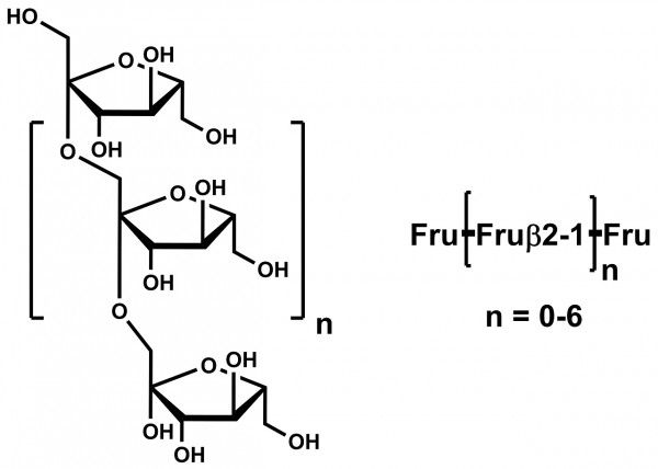 Fructo-Oligosaccharides(FOS) | Wess Biotech