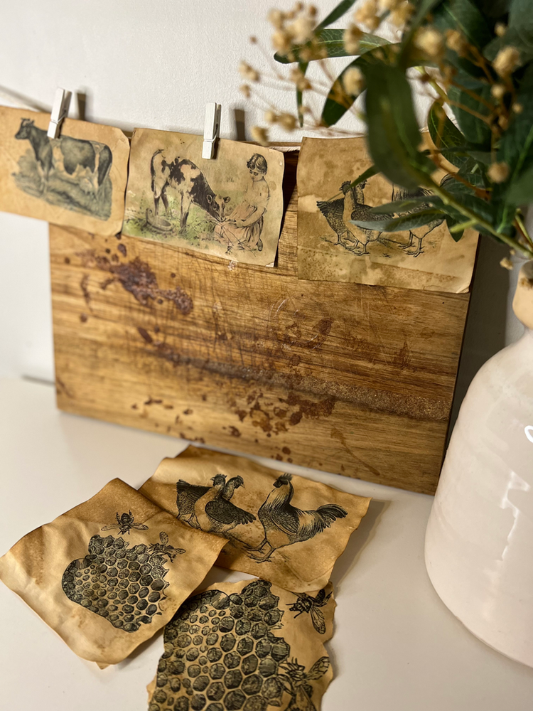 How to Coffee (tea) Stain Paper