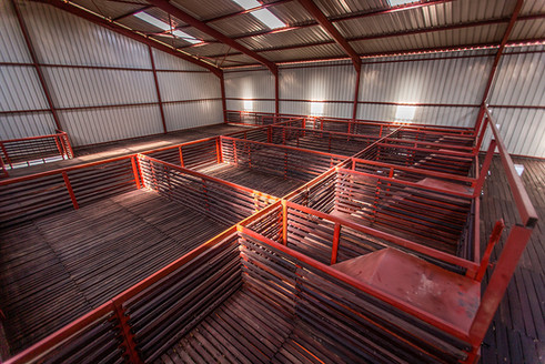 SHEEP SYSTEMS | RGSS