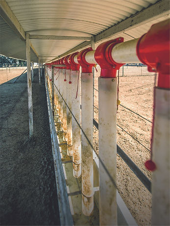 SHEEP SYSTEMS | RGSS