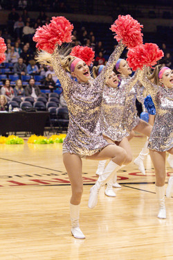 Illinois Drill Team Association