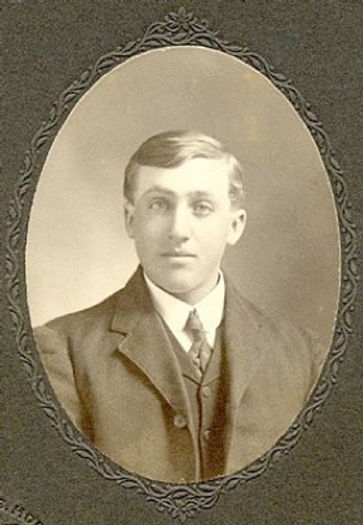 Boevers | The sum of me tree