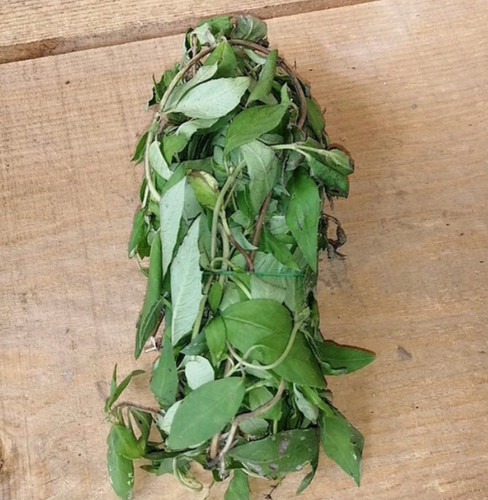 Té de monte por manojo | Cooperativa Agapando