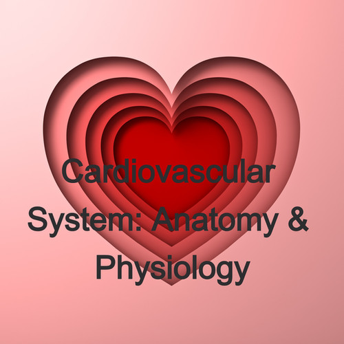 16 CME: Cardiovascular System: Anatomy & Physiology, ️Top Pick | Paper ...