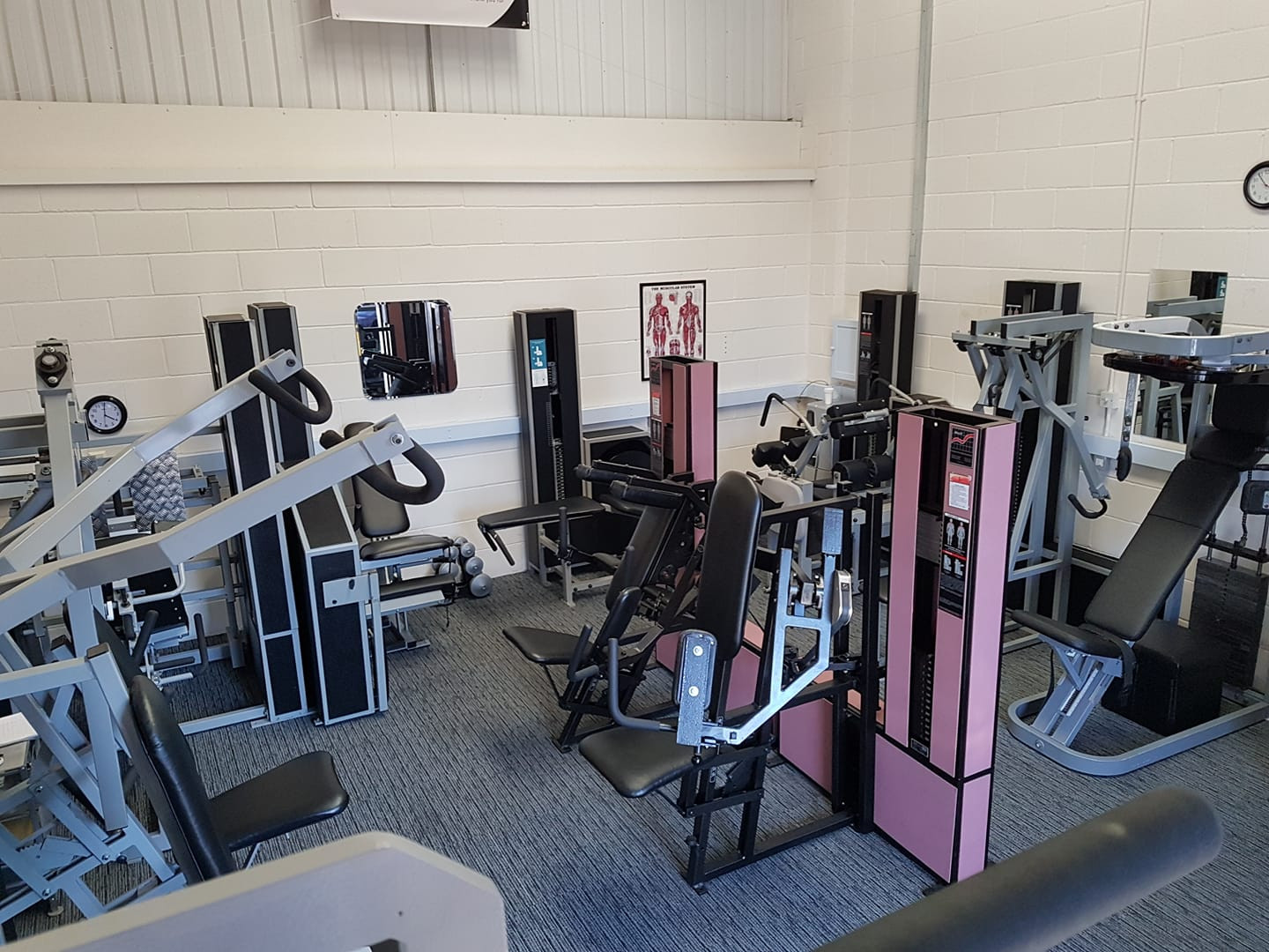 MEDX Personal strength training