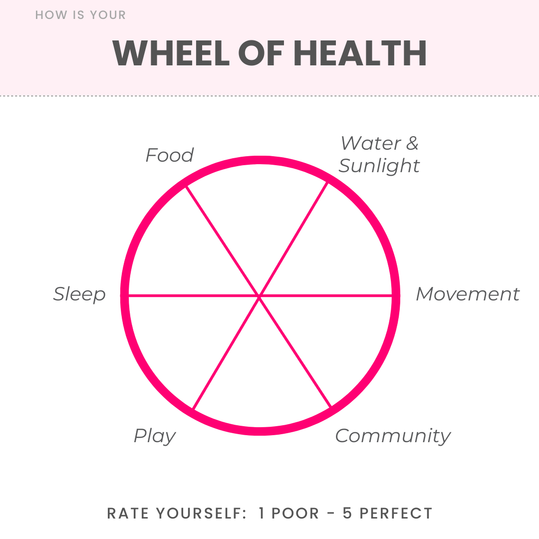 The Wheel of Health