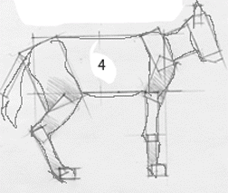 Drawing Animals with Basic Shapes and Bl | website