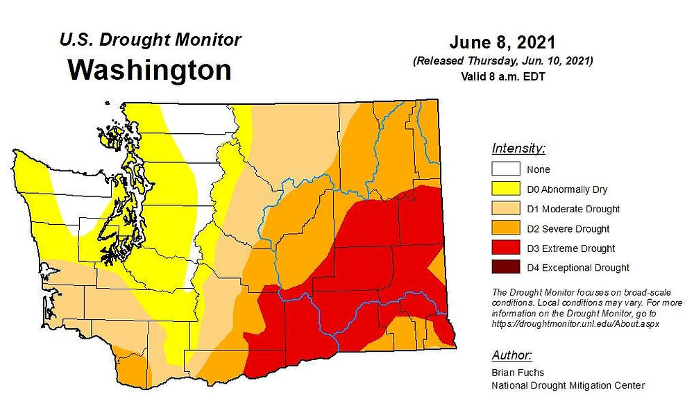 Washington's drought increasingly 'extreme'