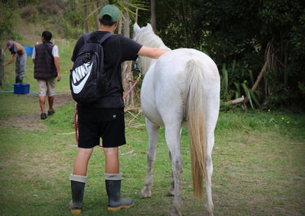 Hope Raising Farm | Photos