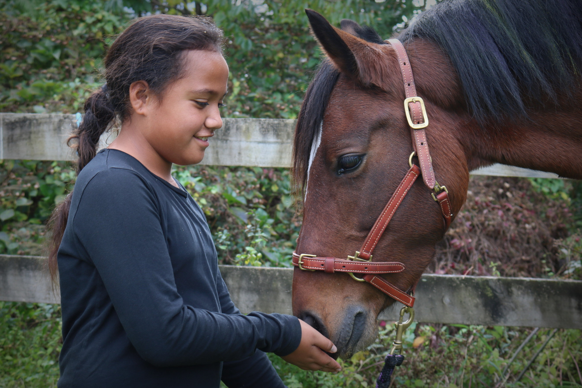 Our Vision | Hope Rising Farm