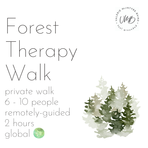 Private, Remotely-Guided Forest Therapy Walk - 6-10 Participants (2 ...