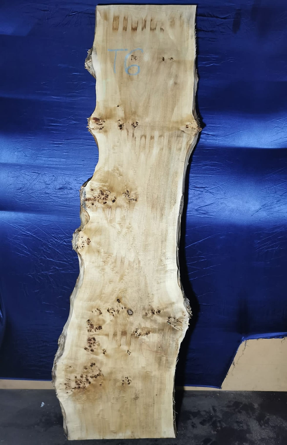 Populieren Houten Plank - T6 | Decoratief Hout
