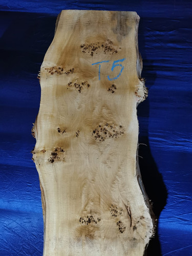 Populieren Houten Plank - T5 (Zelf Ophalen) | Decoratief Hout