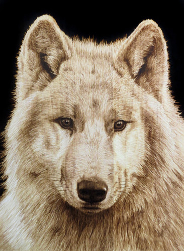 White Wolf Print | Minisa Robinson