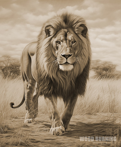 Male Lion | WB University