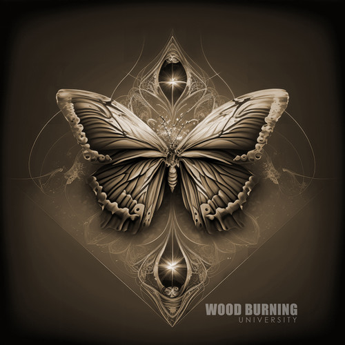 Amazing Butterfly Design | WB University