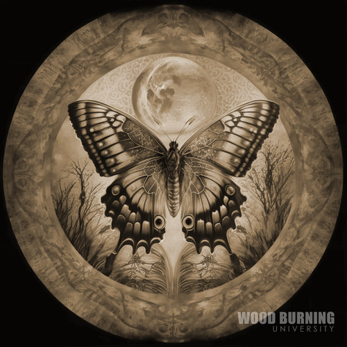 Butterfly and Moon Design | WB University