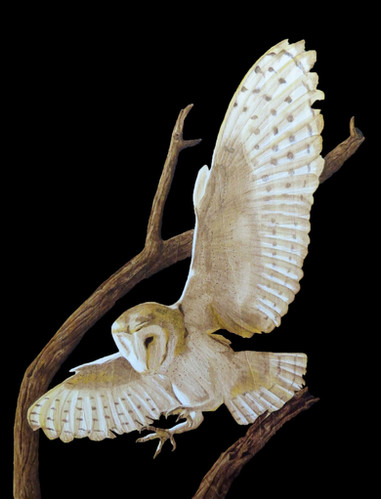 Owl in Flight Print | Minisa Robinson