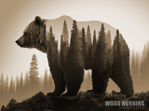 Bear with Trees Double-Exposure | WB University