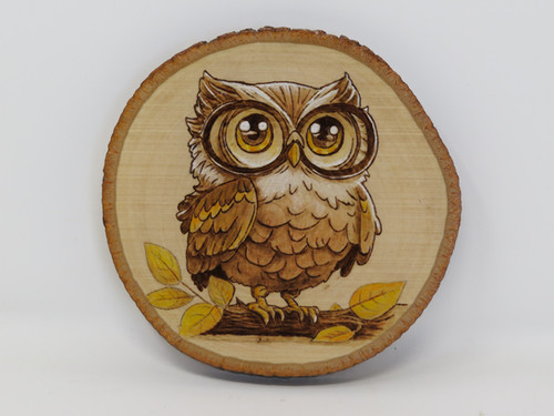 Cute Owl Wood Burning Wall Art | Minisa Robinson