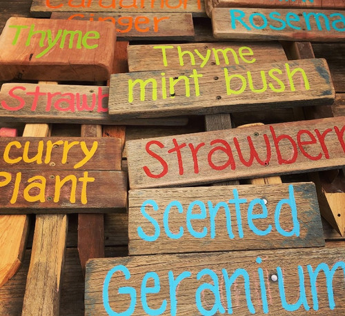 Interactive Garden Sign | EKG Nature Play