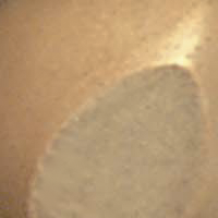 Sol (L49) | NIKO Cosmetics