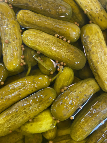 Classic Dills | Pickle Palace