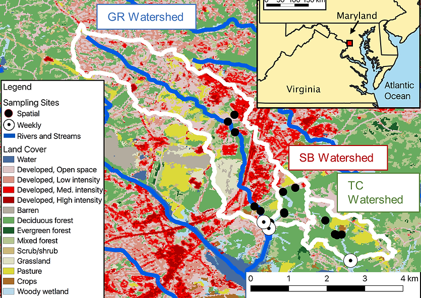 Urban Stream Syndrome | jessicabalerna