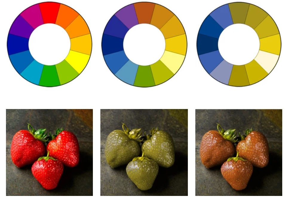 Symptoms Of Color Blindness (CVD), Latest Treatments, and Solutions 2021