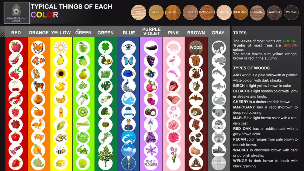 Color Blindness Fact Sheet For Teachers/Schools
