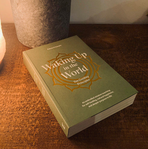 Waking up in the World (Book) | The Tree