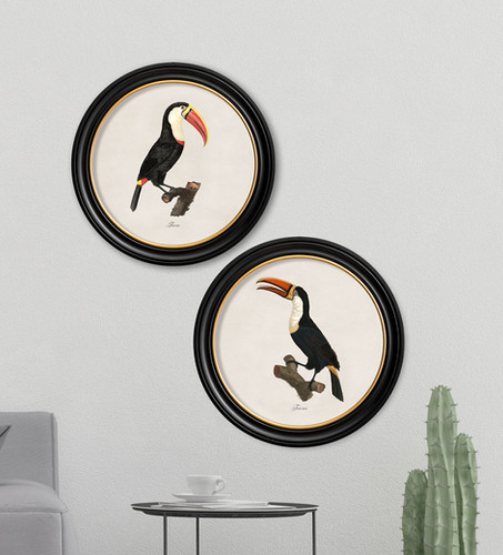 Round Toucan Picture | Statement Wall Art | Unique Home Decor