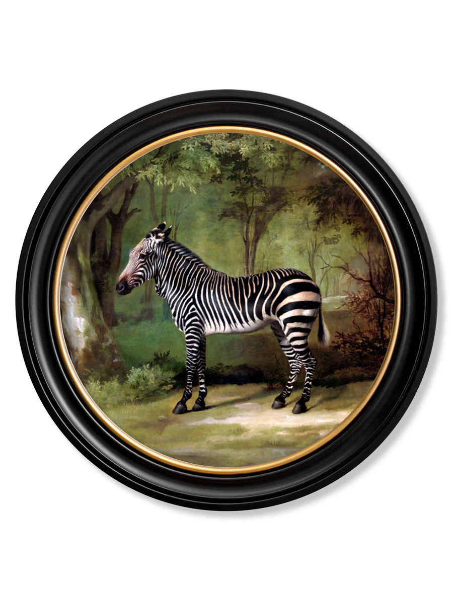 Round Zebra Picture | Statement Wall Art | Unique Home Decor