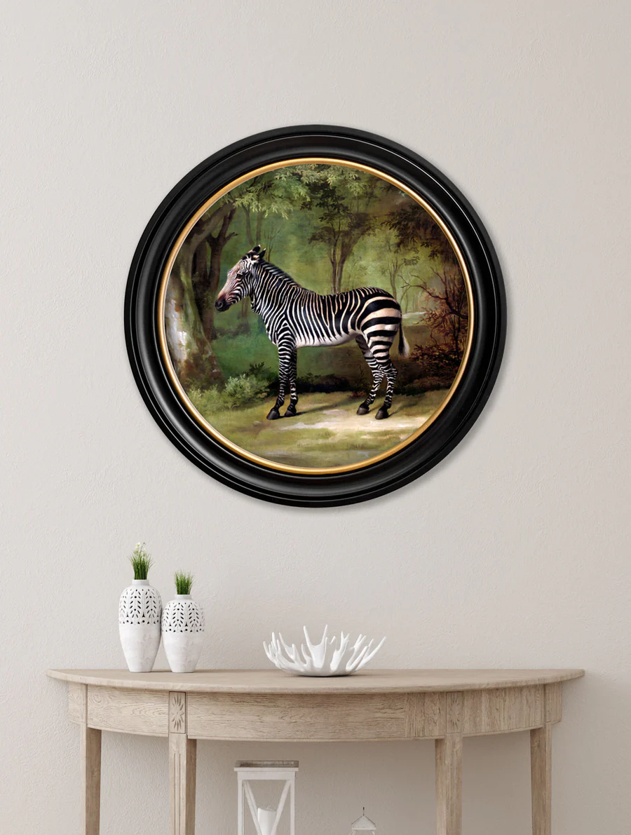 Round Zebra Picture | Statement Wall Art | Unique Home Decor
