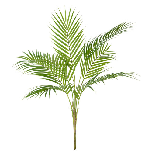 Areca Palm Bush | The Urban Cage