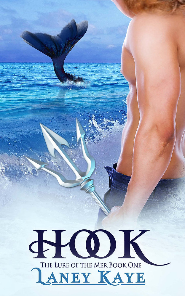 Spotlight Author Interview New Release | HOOK by Laney Kaye