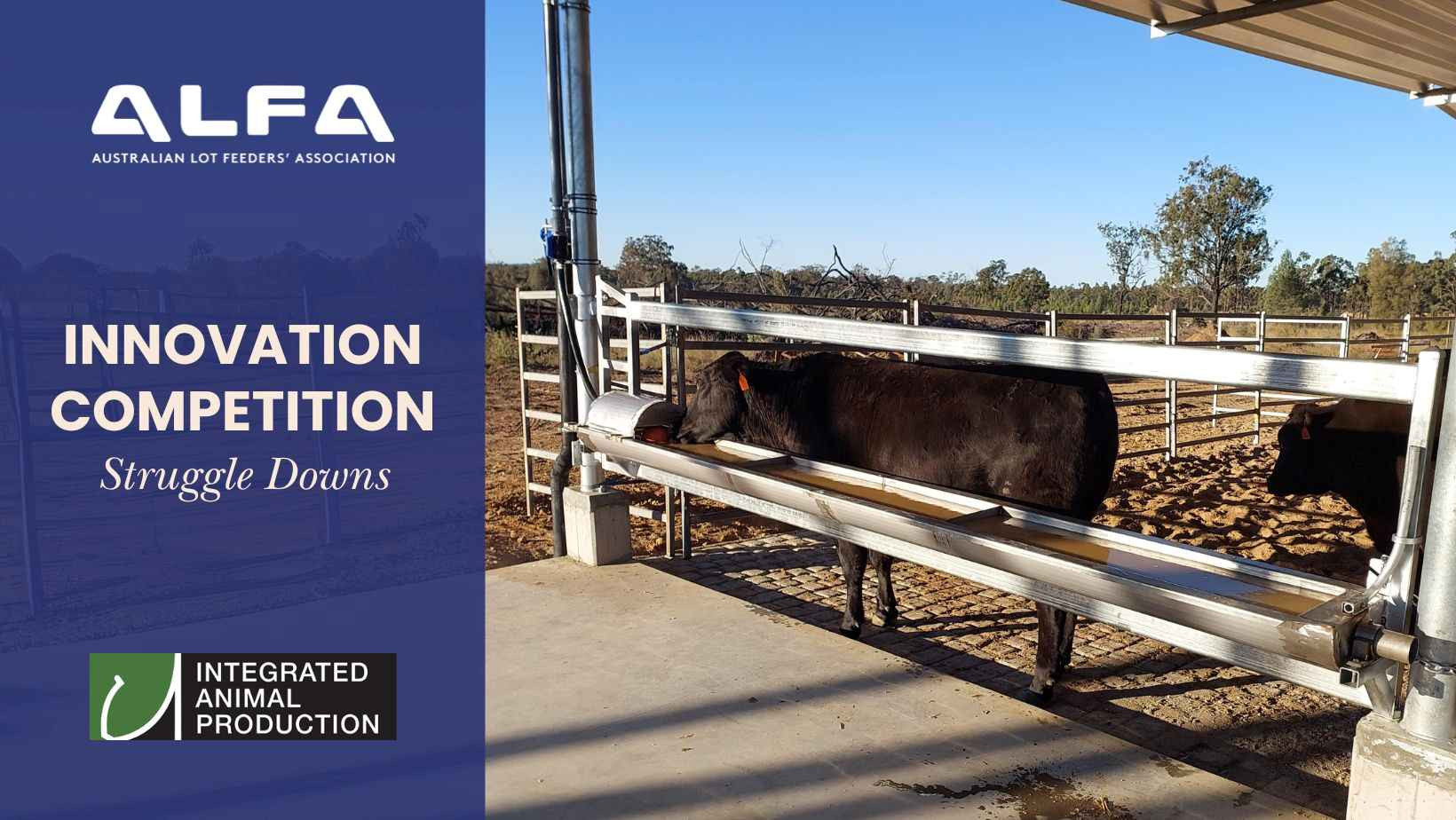 Struggle Downs' 'Stainless tipping trough' Innovation