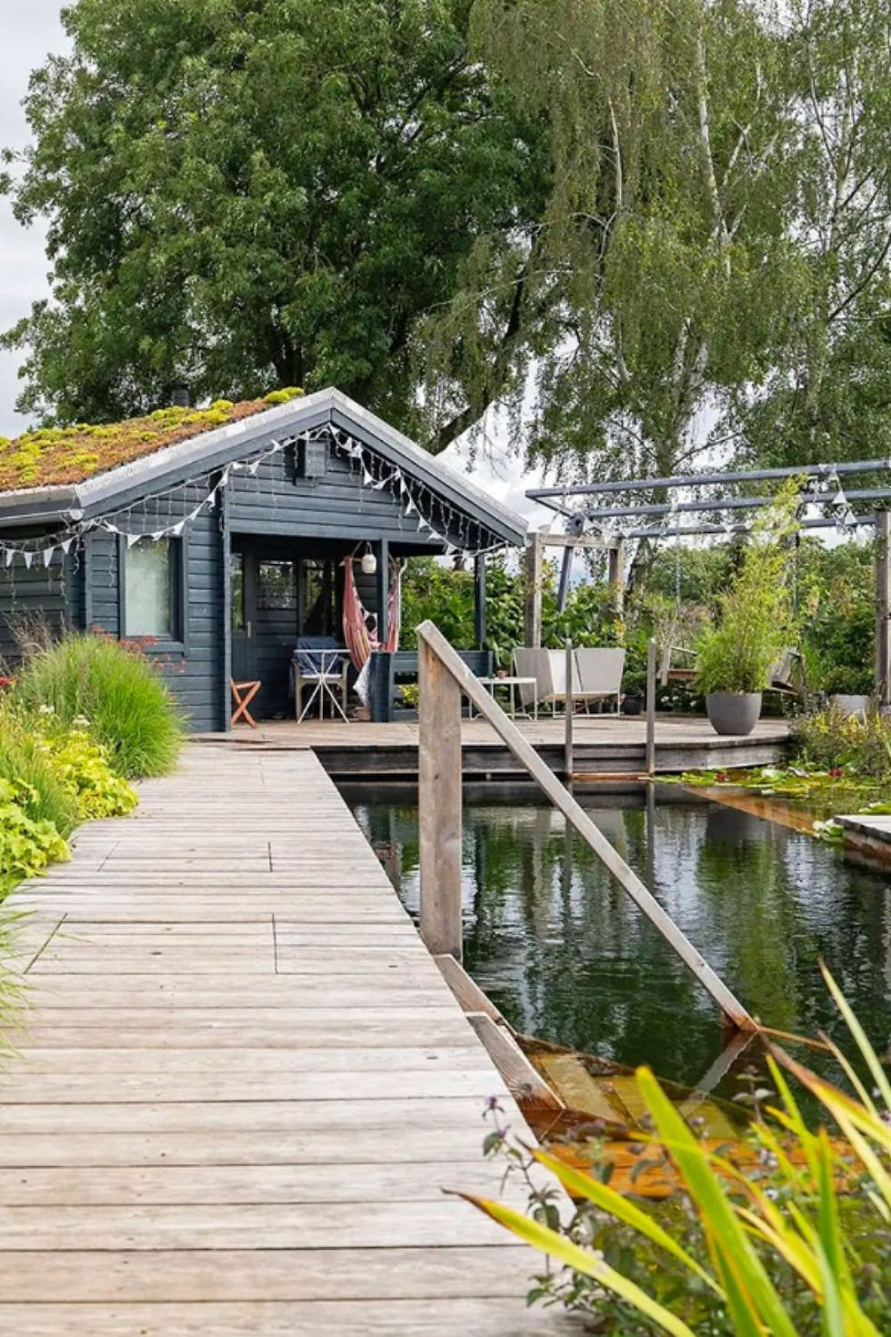 Ultimate guide: How to create a natural, Eco or Bio Pool