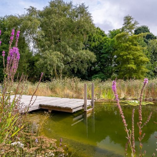 Ultimate guide: How to create a natural, Eco or Bio Pool