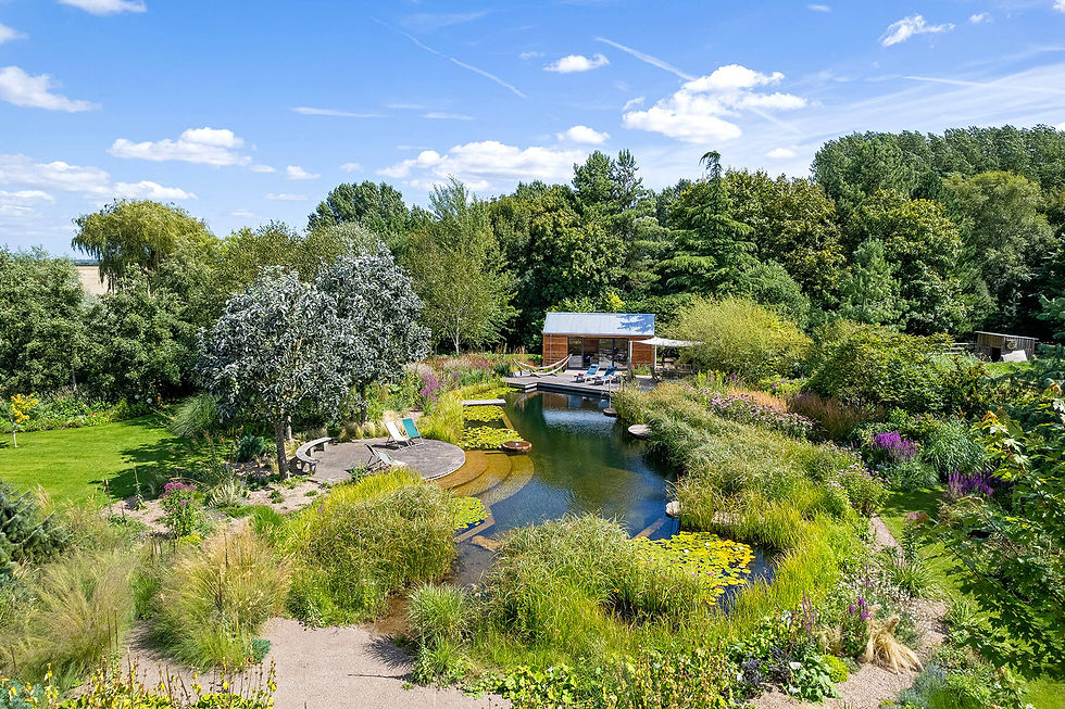 Ultimate guide: How to create a natural, Eco or Bio Pool