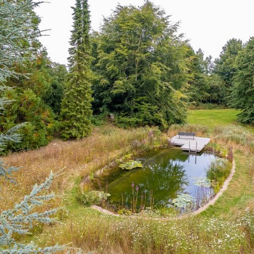 Ultimate guide: How to create a natural, Eco or Bio Pool