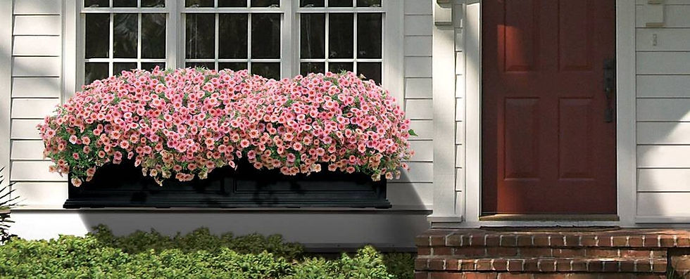 Building Flower Window Boxes: A Quick Guide For DIY Enthusiasts