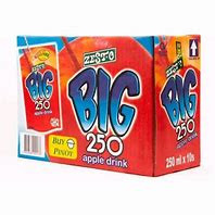 Zest-O Big 250 Apple Flavor 10x250ml | Shiny Star Canada