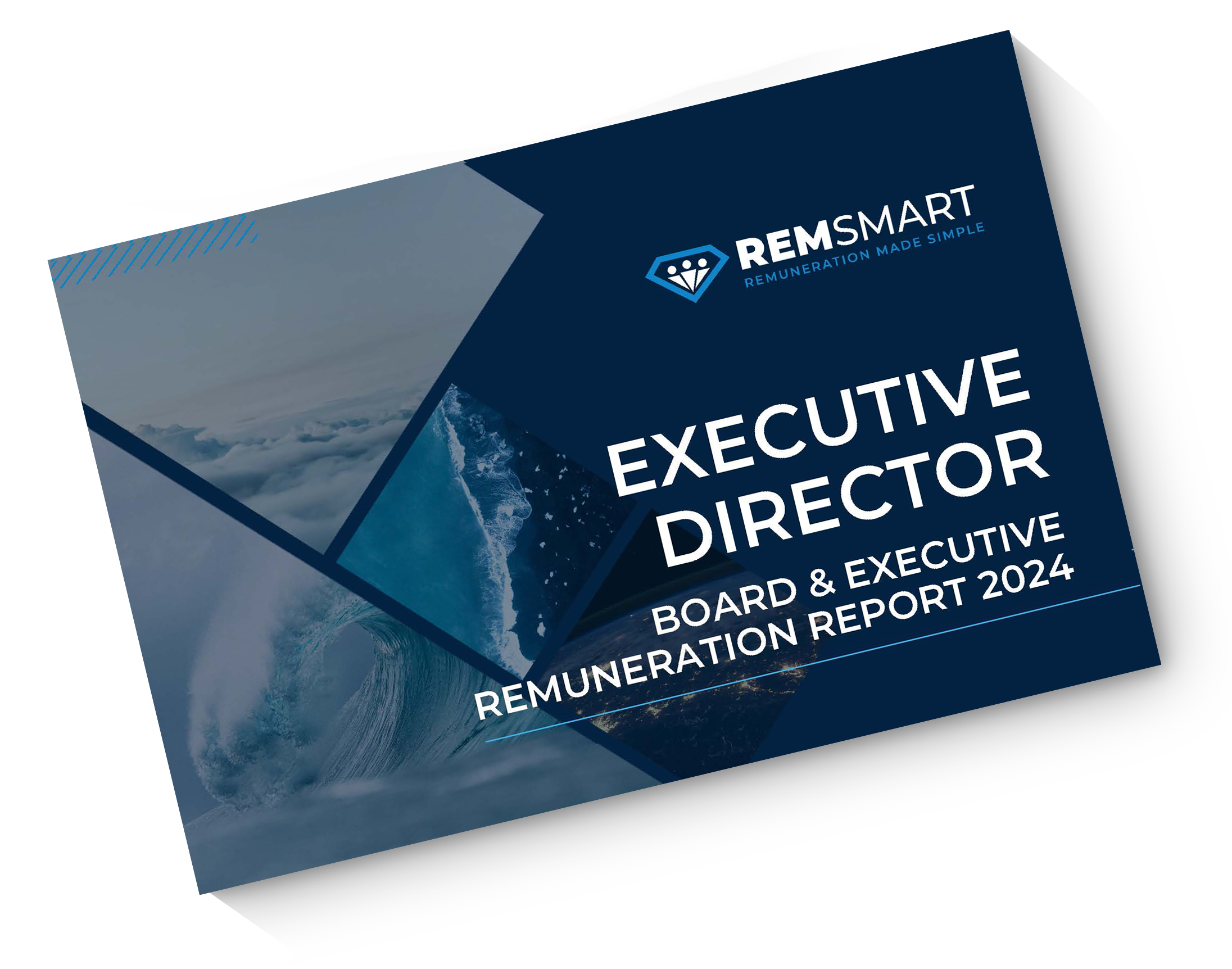 Executive Reports | Remsmart