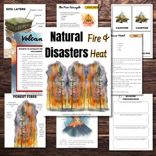 Natural Disasters: Fire & Heat | FTL of Homeschooling